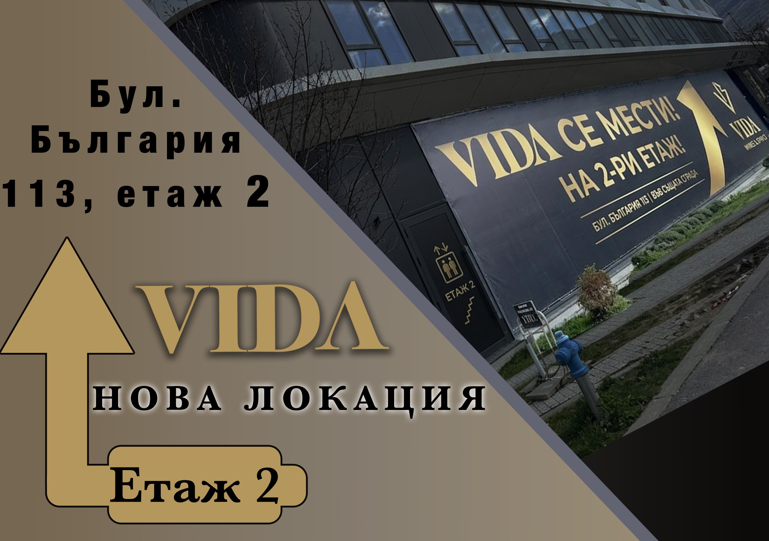 Онлайн магазин за вино и алкохол - Vida Wine and Spirits Boutique
